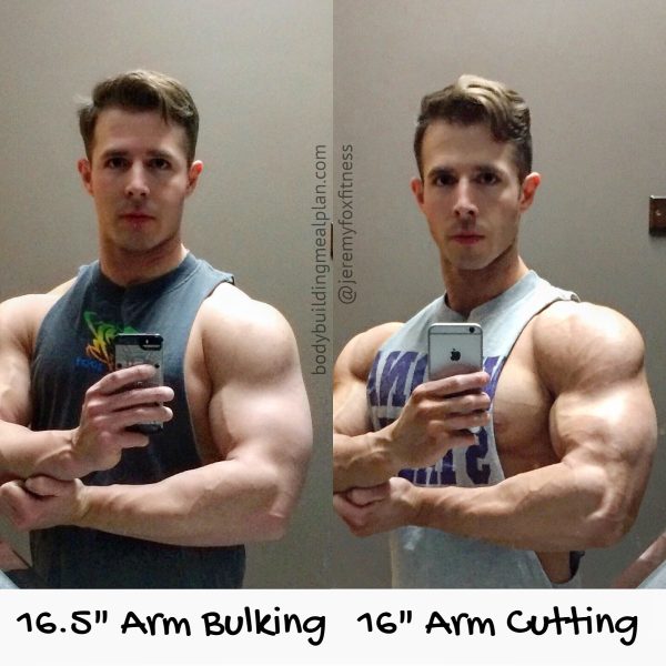 How Big Are 15 Inch Arms? Average Arm Size Statistics & Calculator