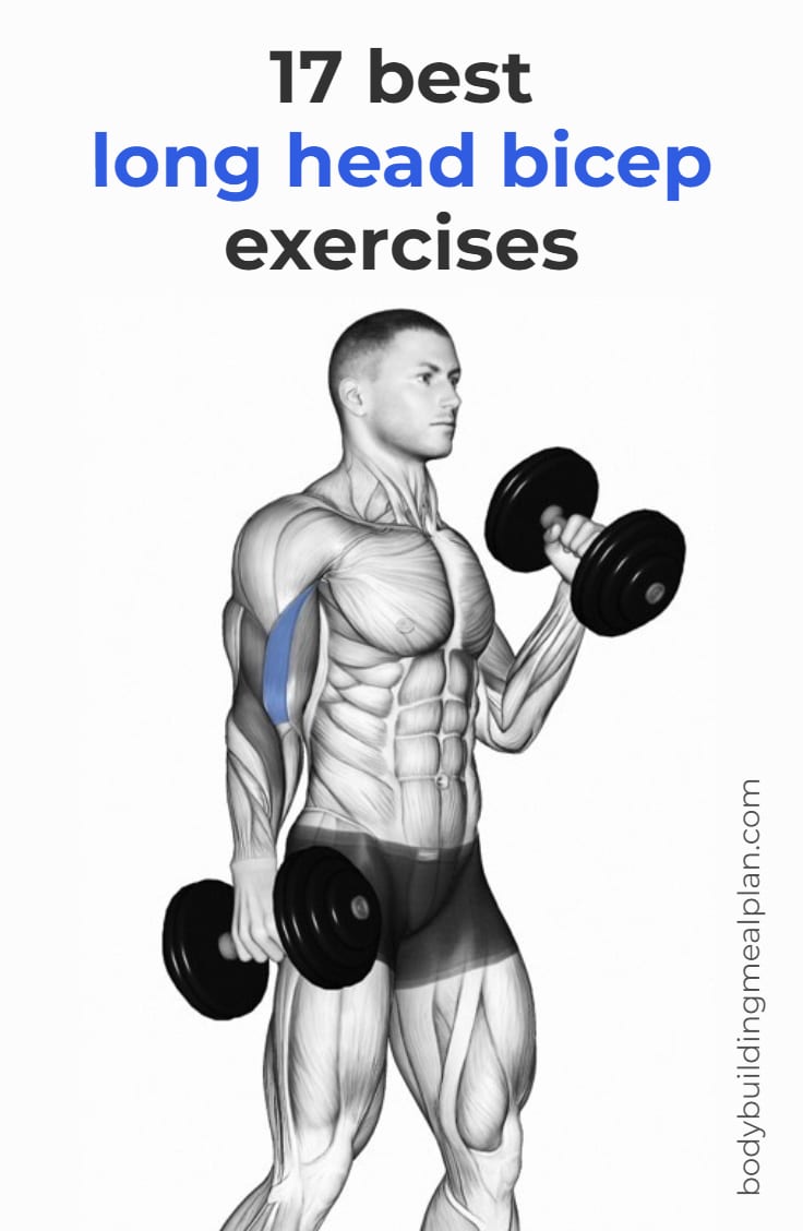 17 Long Head Bicep Exercises For Towering Peaks