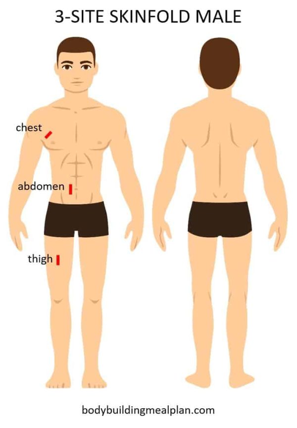 Body Fat Percentage Calculator: Caliper, Circumference, Or Visual
