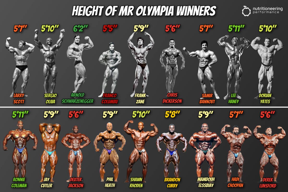 Average Bodybuilder Height By Decade Whether Height Matters