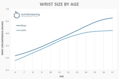 Average Wrist Size Statistics for Male & Female | Nutritioneering