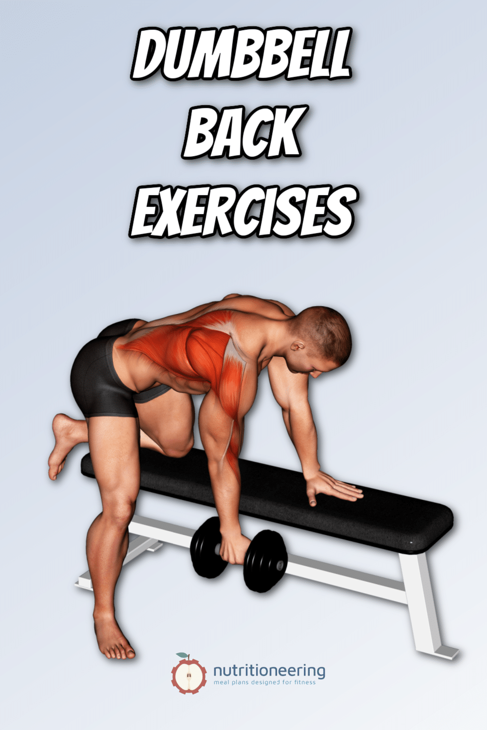 13 Best Dumbbell Back Exercises for Lat Strength & Size