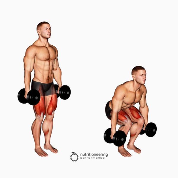 12 Quick Dumbbell Quad Exercises for At Home Workout