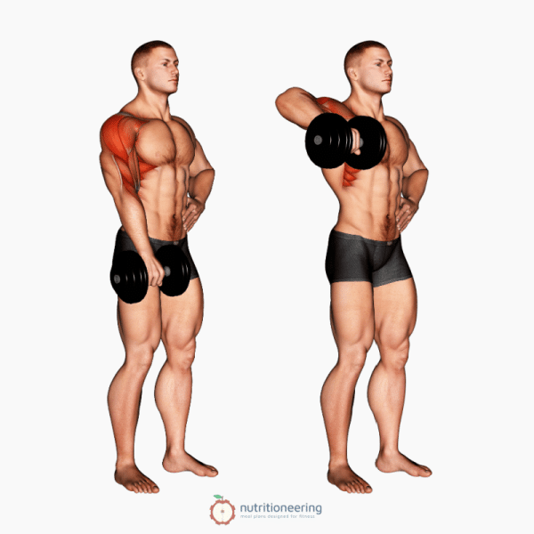 PT Shares Top 10 Dumbbell Trap Exercises for a Thick Upper Back