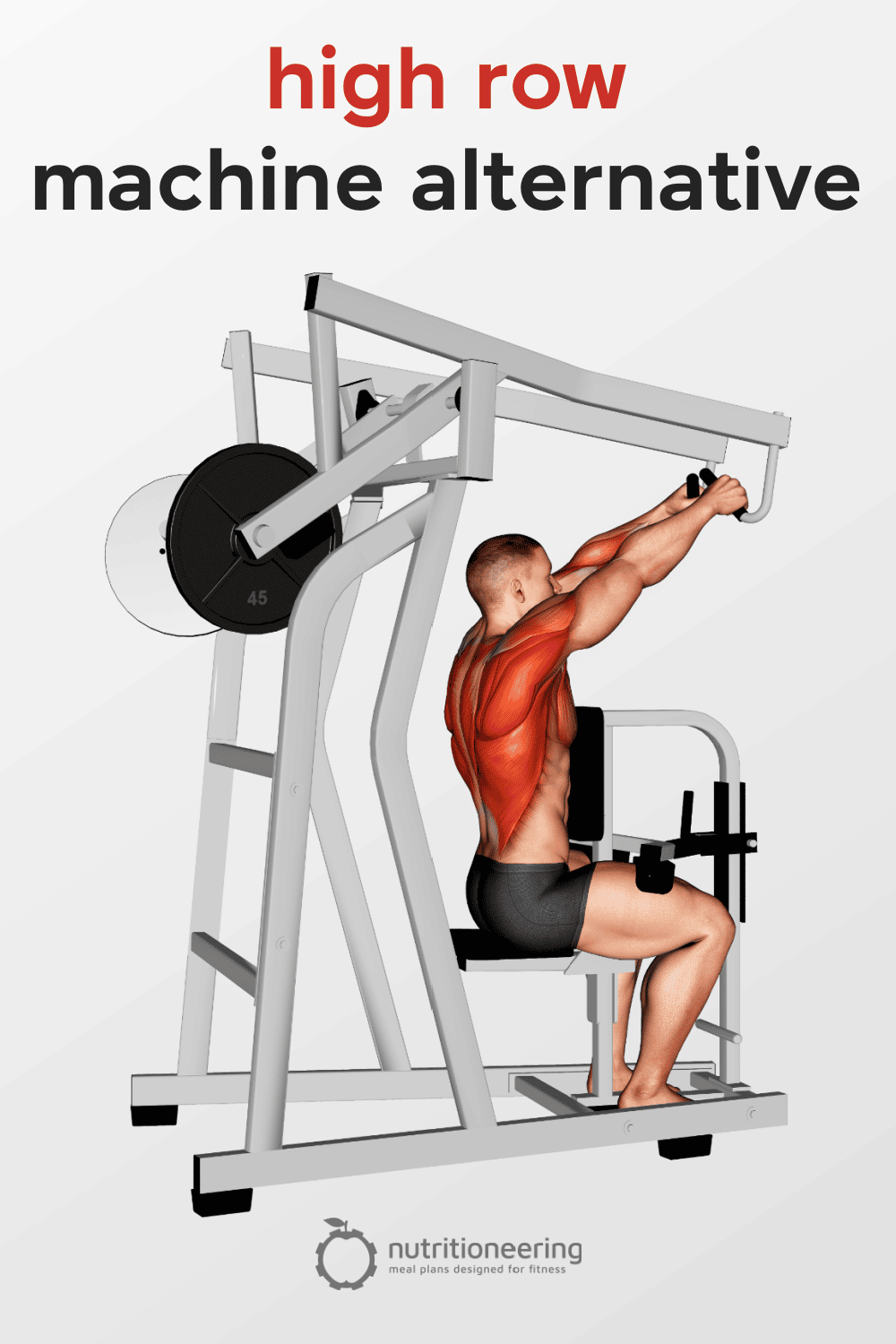 11 Best High Row Machine Alternative Exercises (With Pictures)