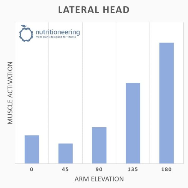 13 Top Lateral Head Tricep Exercises for Chiseled Arms