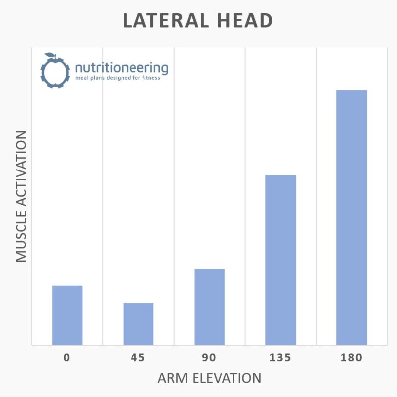 13 Top Lateral Head Tricep Exercises for Chiseled Arms