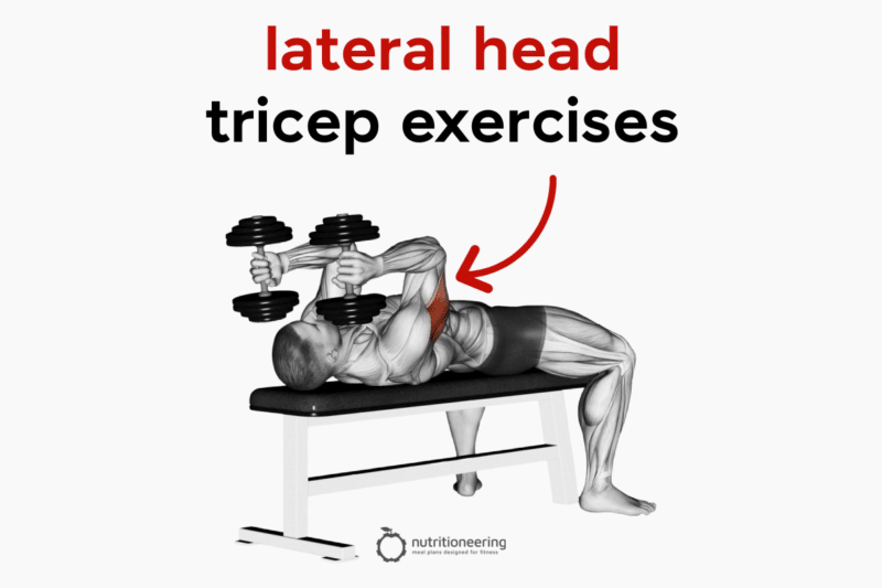 13 Top Lateral Head Tricep Exercises for Chiseled Arms