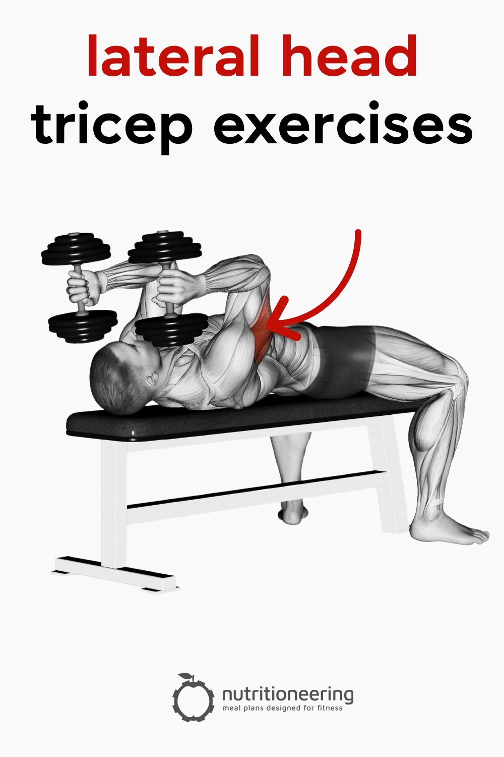 13 Top Lateral Head Tricep Exercises for Chiseled Arms