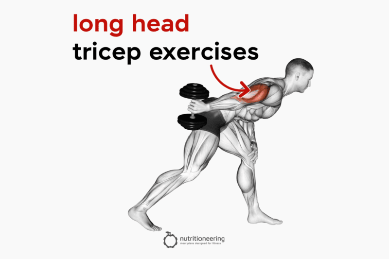 13 Long Head Tricep Exercises for Maximum Arm Mass