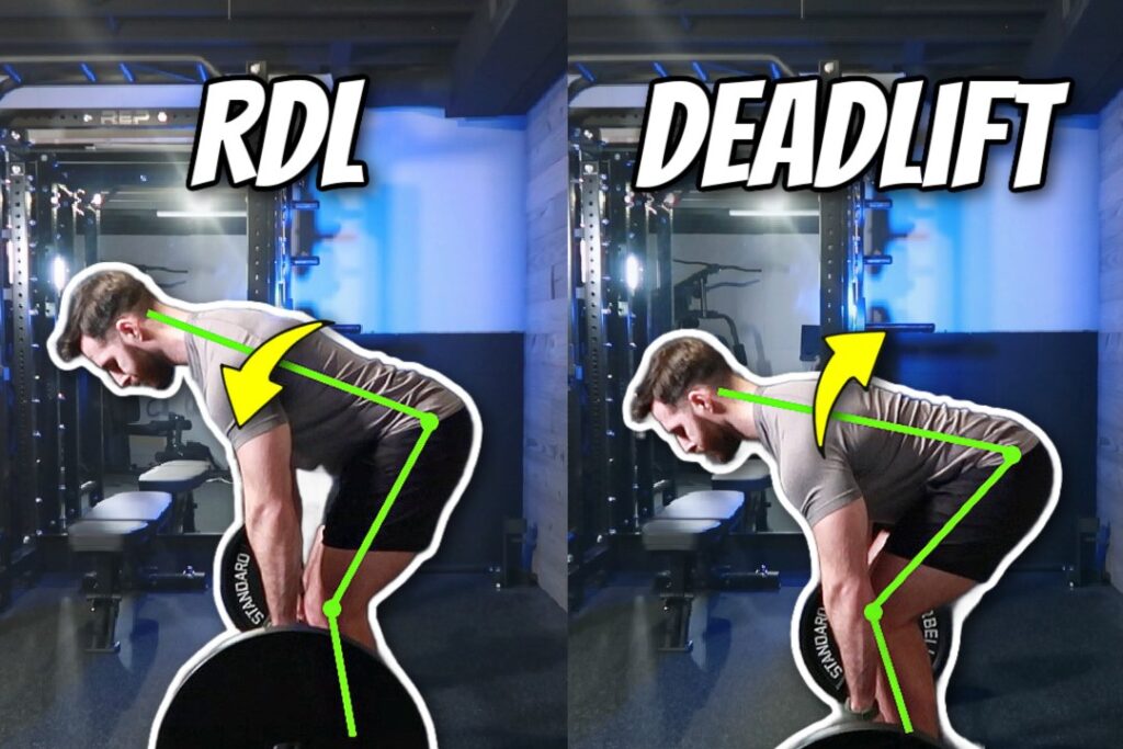 Romanian Deadlift (RDL) vs Conventional Deadlift Differences