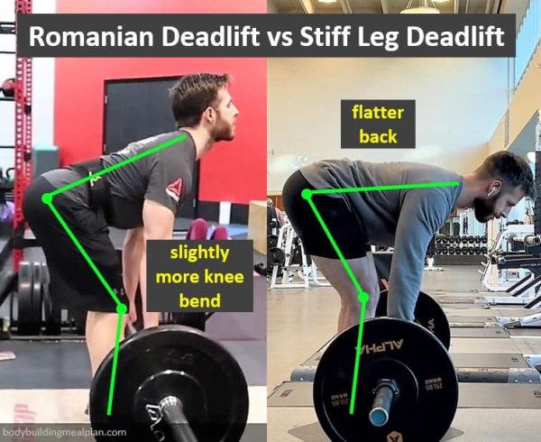 Romanian Deadlift vs Stiff Leg Deadlift: Differences & Muscles Worked
